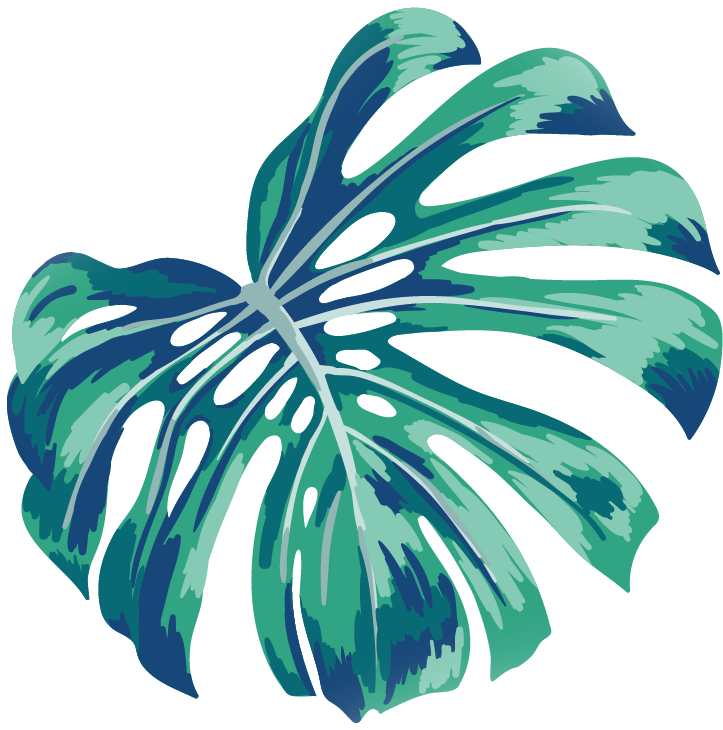 Coder Station - Taking your digital experience to the new level.